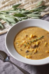 Carnival Squash Chowder – Eat Up! Kitchen